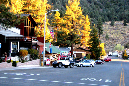 Rancho Los Alamitos: A Historic Ranch In Long Beach CA