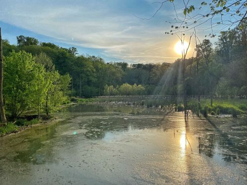 Explore Stunning Natural Springs In Indiana On This Epic Trail
