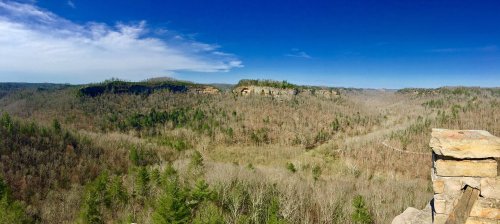 Red River Gorge Scenic Byway: Best Scenic Drive In Kentucky