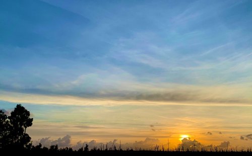 Loop Road Scenic Drive: A Journey Though The Florida Everglades