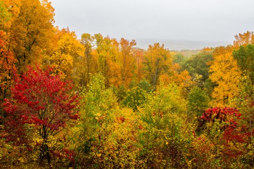 Best Road Trips in Indiana: 10 Road Trips + Itinerary