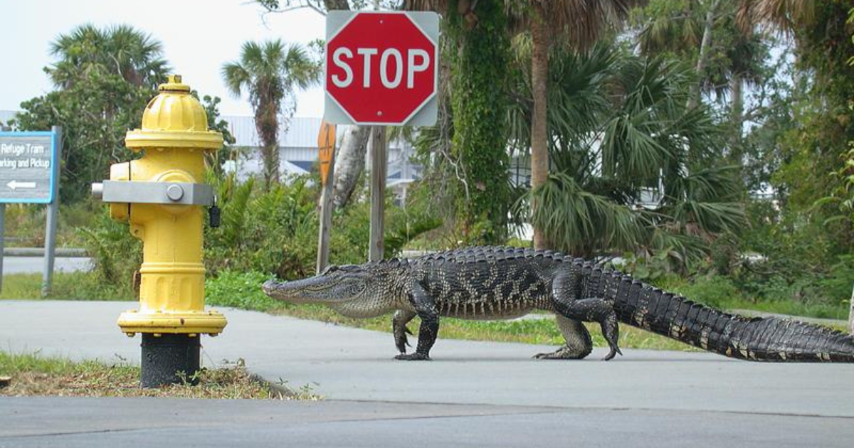 11 Crazy Laws In Michigan That Will Leave You Shaking Your Head