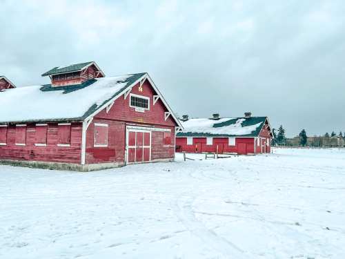 Fort Steilacoom Park: Admission-Free Park In Washington