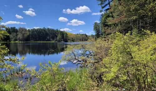 Take This Scenic Drive In Harriman State Park, New York