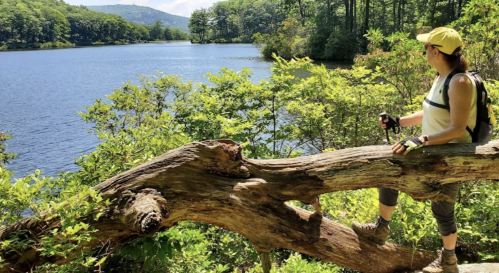 Take This Scenic Drive In Harriman State Park, New York