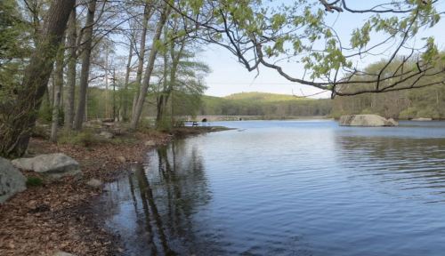 Take This Scenic Drive In Harriman State Park, New York