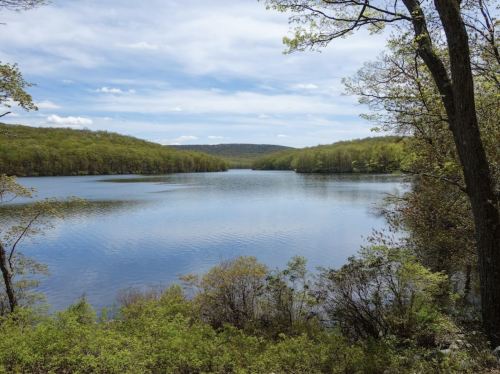 Take This Scenic Drive In Harriman State Park, New York
