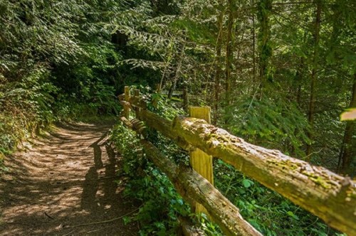 Hike More Stairs Than Miles Along This Washington State Trail
