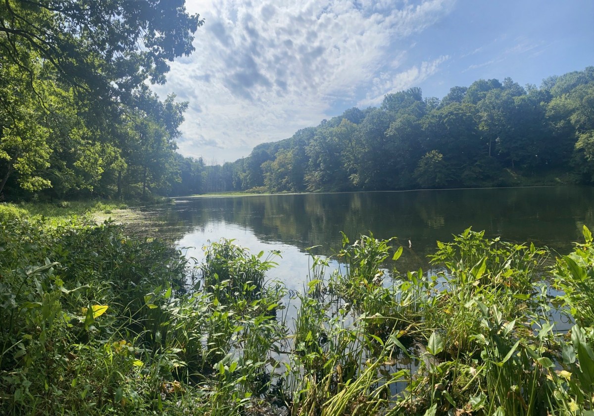 The Stunning Three Lakes Trail In Indiana Is A True Paradise