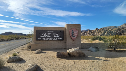 Park Boulevard In Joshua Tree Is A Great Way To Explore