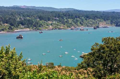 The Scenic Drive To Pelican State Beach Is Almost As Beautiful As The ...