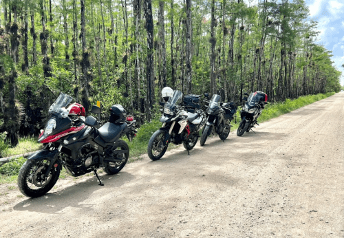 Loop Road Scenic Drive: A Journey Though The Florida Everglades