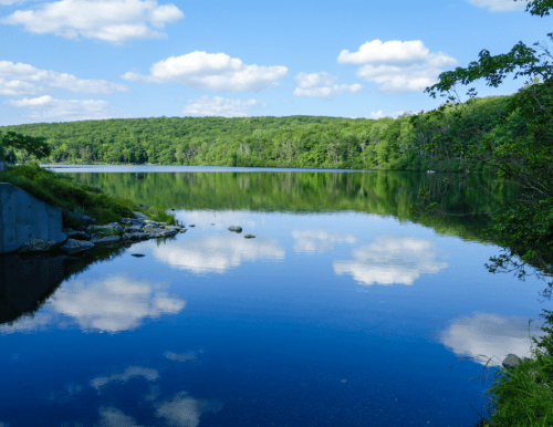 Take This Scenic Drive In Harriman State Park, New York