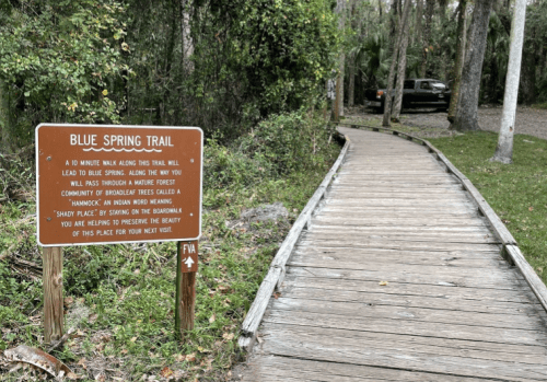 Blue Springs Boardwalk: A Beautiful Hiking Trail In Florida