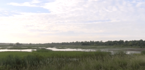 Visit The Red Slough WMA In Oklahoma Near Haworth