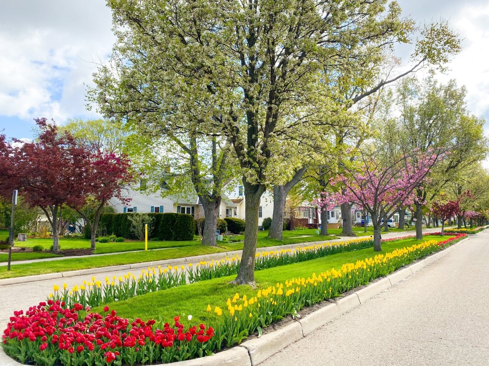 The 7 Best Must-Visit Spring Attractions In Michigan