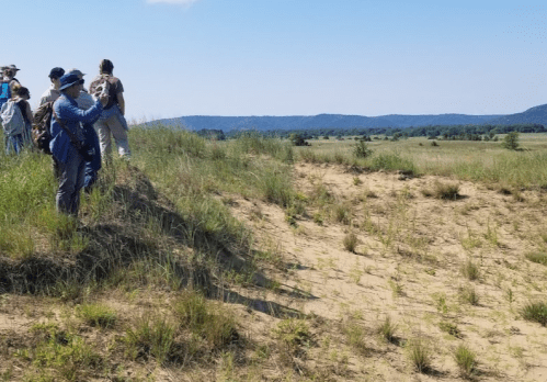 Did You Know There Are Sand Dunes In Minnesota?