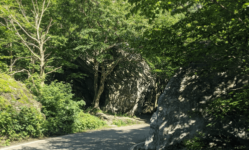Smugglers’ Notch Scenic Drive: One Of The Best Drives In Vermont