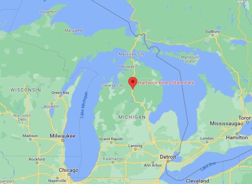 Hartwick Pines: An Old-Growth Forest In Grayling, Michigan