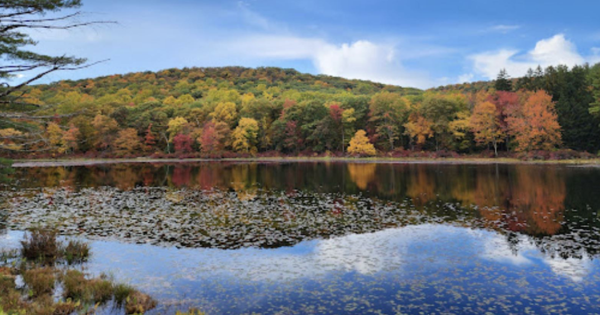 Take This Scenic Drive In Harriman State Park, New York