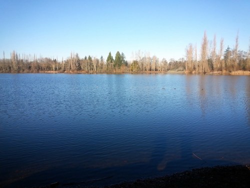 Fort Steilacoom Park: Admission-Free Park In Washington