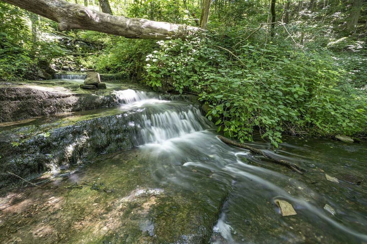 Explore Stunning Natural Springs In Indiana On This Epic Trail