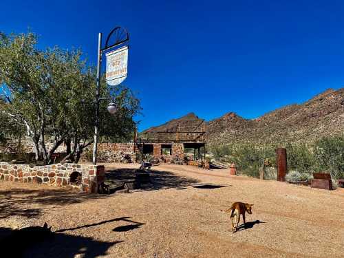Robson's Arizona Mining World In Aguila Is A Must-Visit Destination