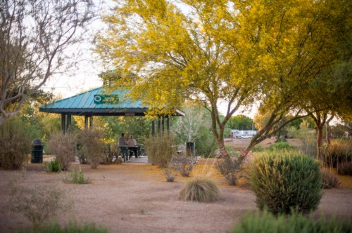 Best Beaches In Arizona: West Wetlands Park In Yuma