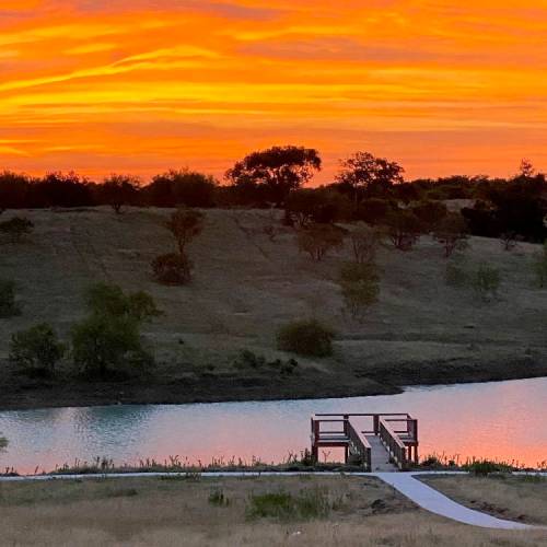 Stay At A Unique Airbnb With Giraffes At Blue Hills Ranch In Texas
