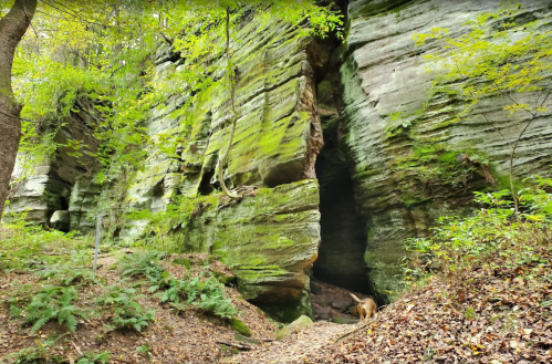 Visit A Natural Wonder Near Cleveland: Glacier Cave In Twinsburg