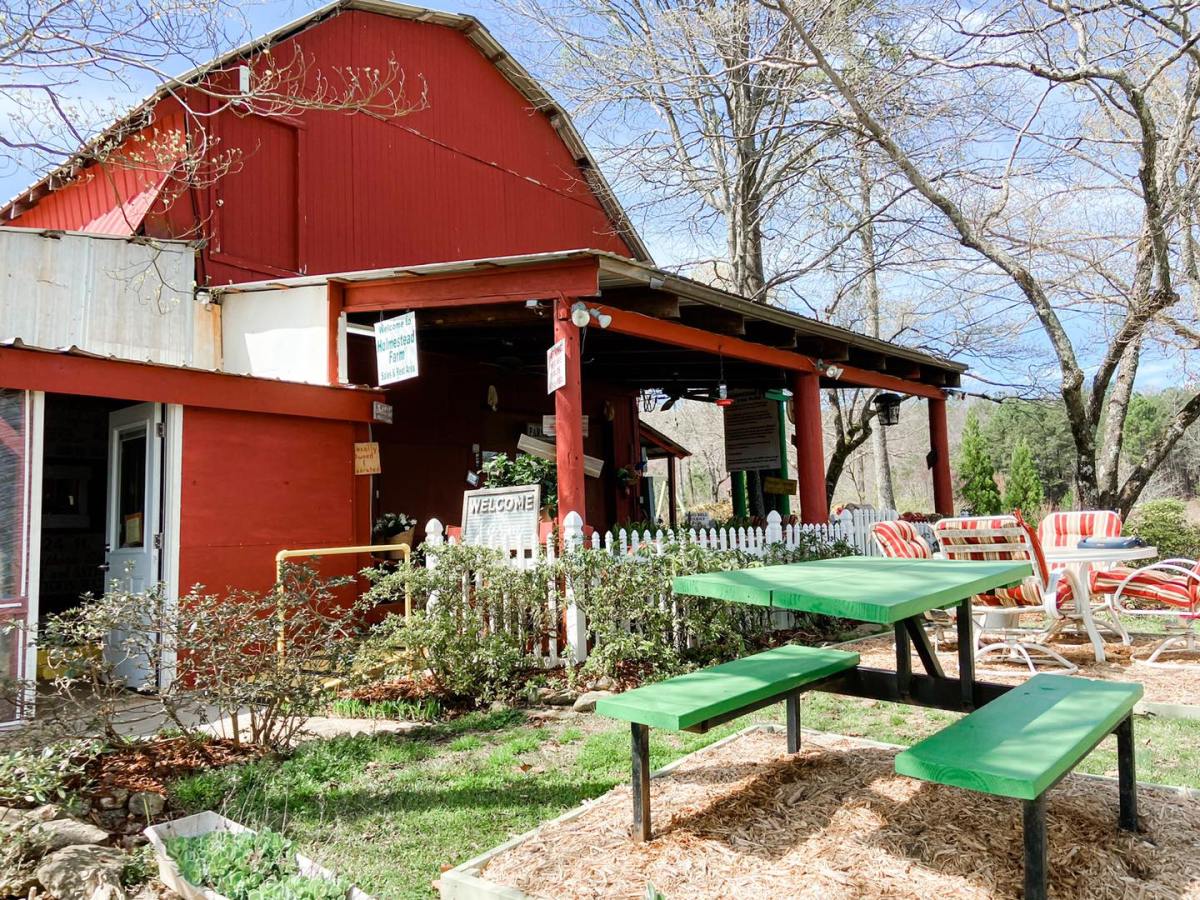Holmestead Farm In Alabama Lets You Pick Strawberries