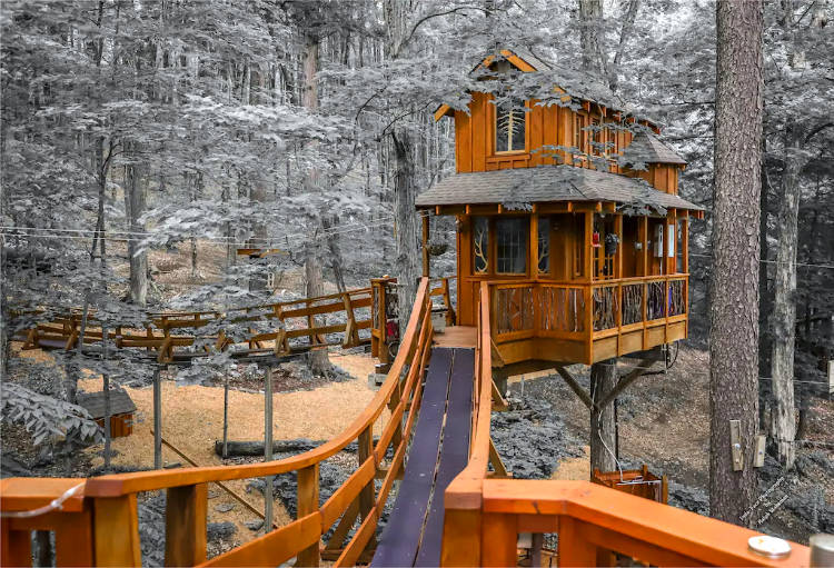 12 Best Treehouse Rentals In The USA For An Adventurous Getaway