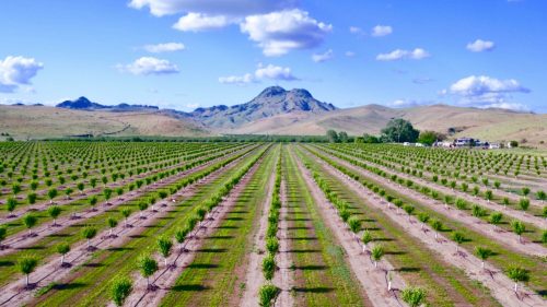 Explore The Small Farm Town of Colusa In Northern California