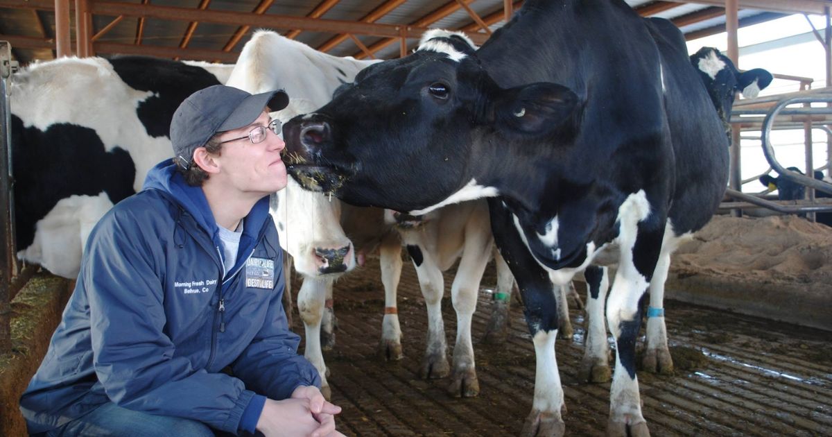 Morning Fresh Dairy Farm: Take A Tour In Bellevue, Colorado