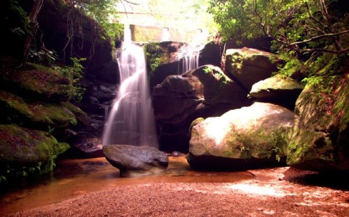 Dismals Canyon In Alabama Is Home To Rare Glowworms