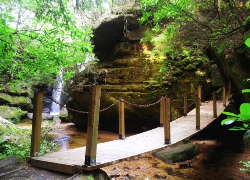 Dismals Canyon In Alabama Is Home To Rare Glowworms