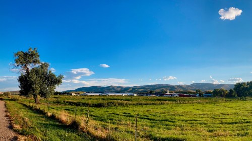 Morning Fresh Dairy Farm: Take A Tour In Bellevue, Colorado