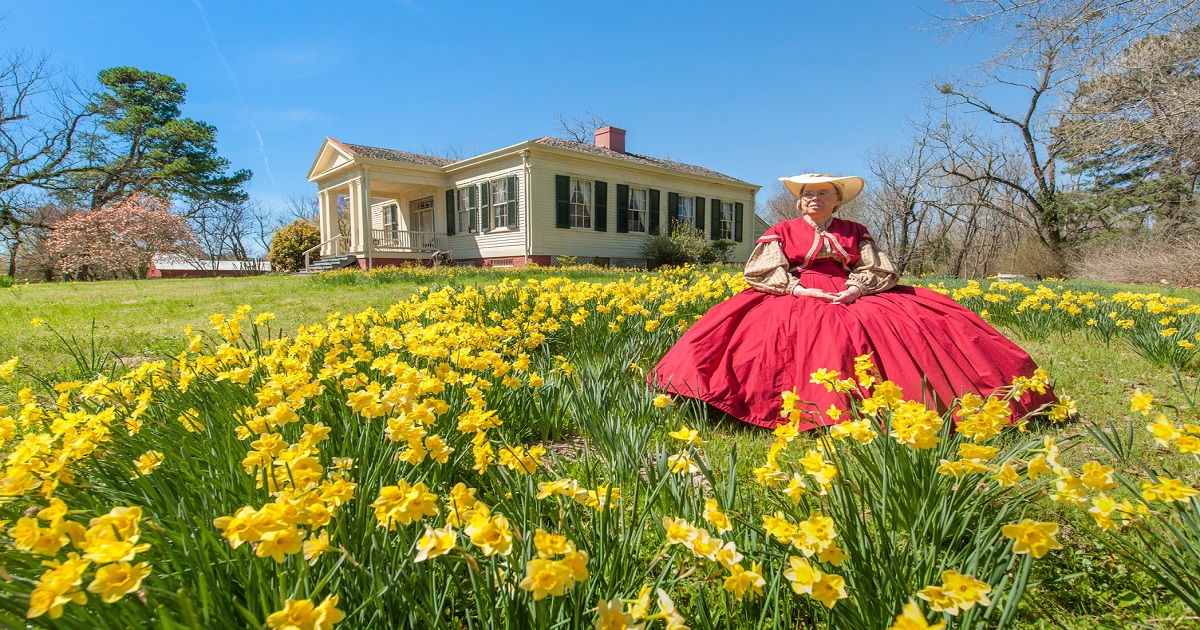 Witness Thousands of Jonquils At This Spring Festival in Arkansas