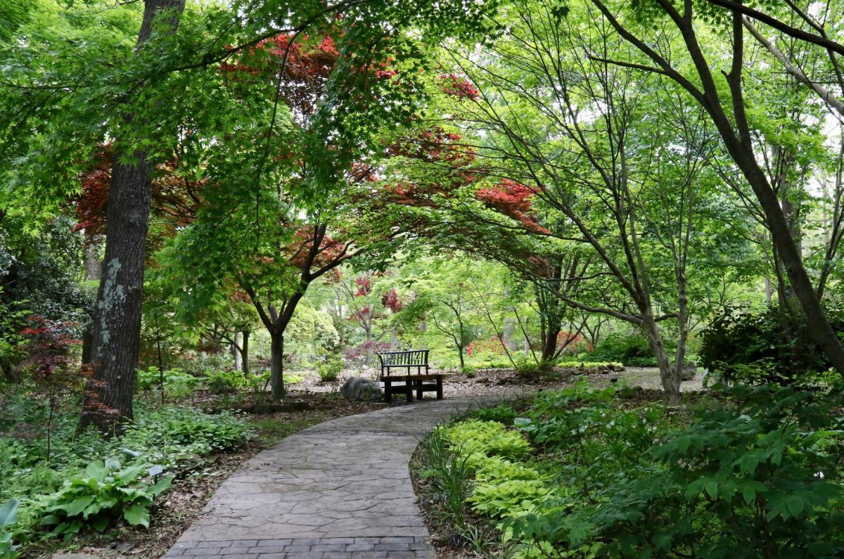 Lendenwood Gardens in Grove, Oklahoma Is A Beautiful Garden