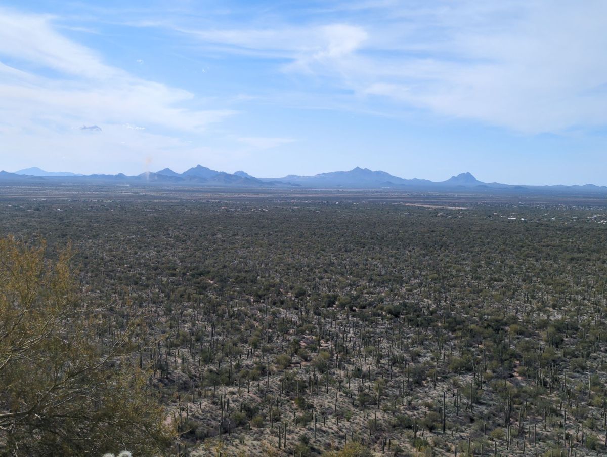 Scenic Overlooks In Tucson, Arizona: Valley View Overlook Trail