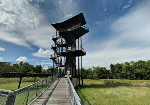 Explore Sheldon Lake State Park & John Jacob Observation Tower