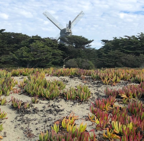 See These Two Historic Windmills In Northern California