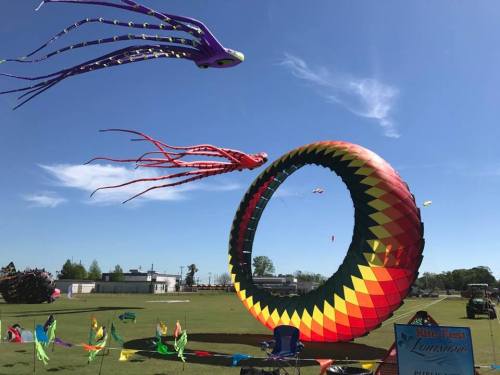 Spring Festivals In Louisiana: Kite Fest Louisiane