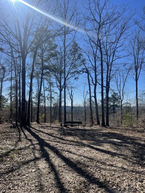 Most People Don't Know There's A Mountain In Louisiana