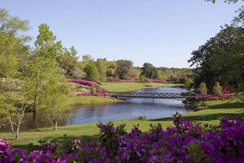 Theodore, Alabama Is A Peaceful Place To Live