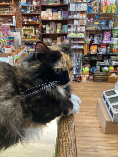 This Gift Shop Is The Quirkiest Place In West Virginia