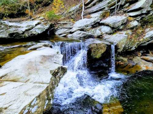 Talladega Scenic Drive: A Journey At Cheaha Mountain In Alabama