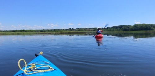 Sapowet Marsh: Pretty Natural Wonder In Tiverton, Rhode Island