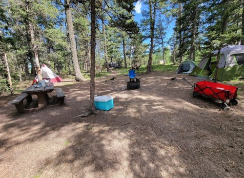 6 Best Campgrounds For No Reservation Camping In Denver