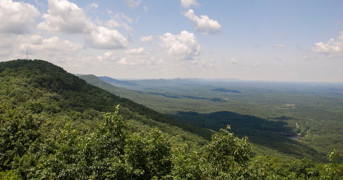 Talladega Scenic Drive: A Journey At Cheaha Mountain In Alabama